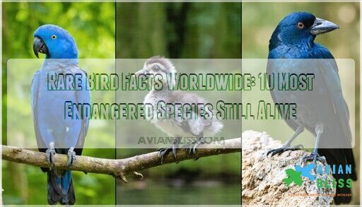 Rare Bird Facts Worldwide: 10 Most Endangered Species Still Alive