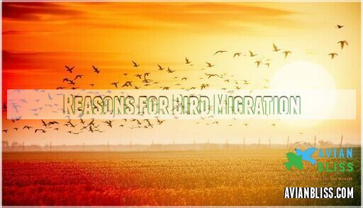 Do Birds Hibernate or Migrate? The Surprising Truth About Winter Birds