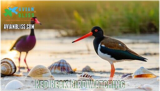 Birds With Red Beaks: 25 Stunning Species (Photos & Facts)