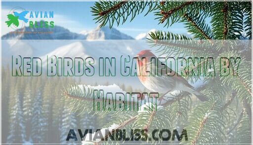 Red Birds in California: 25 Stunning Species + ID Guide (2025)