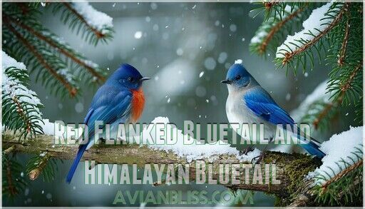 Bird With Blue Tail: 15+ Stunning Species You Must See! (Photos)