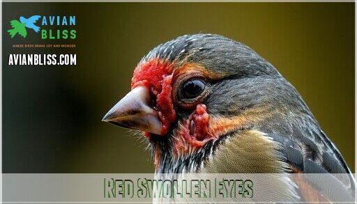 Finch Eye Infection Treatment: Complete Guide to Healing Your Birds