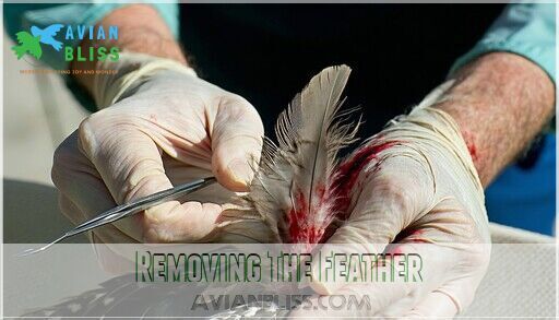 Bird Bleeding Wing Treatment: Emergency First Aid Steps That Save Lives