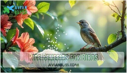 Can Birds Eat Rice? The Surprising Truth Every Bird Owner Needs!