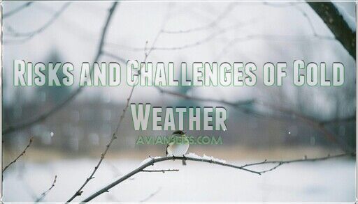 Do Birds Get Cold? 7 Amazing Ways They Survive Freezing Weather