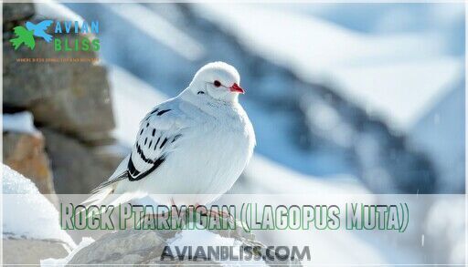 Types of White Birds: 25 Beautiful Species With Photos & ID Guide