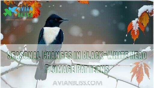 Birds With Black and White Heads: 15 Species + Photos & ID Tips