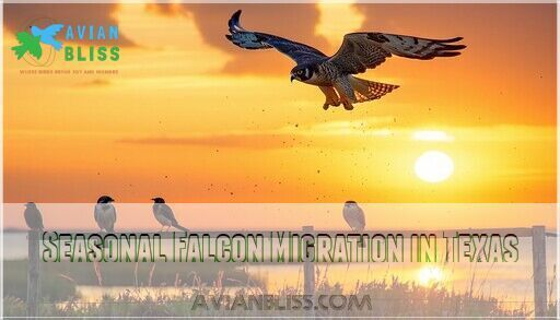 Falcons in Texas: 10 Amazing Species You Must See (ID Guide + Photos)