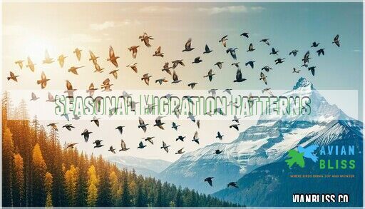 Types of Bird Migrations: Patterns, Routes, and Unique Flight Behaviors