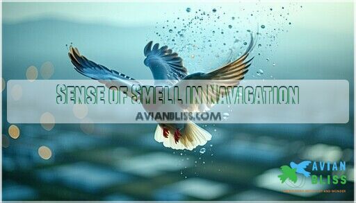 Bird Migration Routes Explained: Complete Guide to Flyways & Patterns