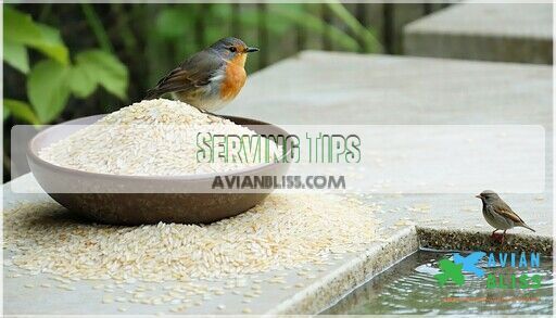 Can Birds Eat Rice? The Surprising Truth Every Bird Owner Needs!