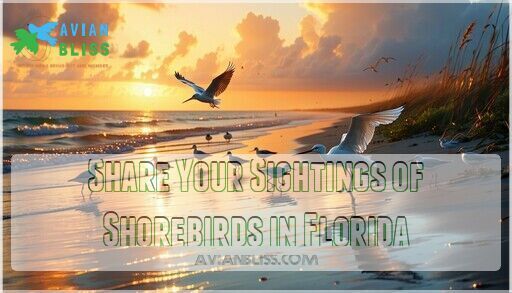 Shore Birds in Florida: Complete ID Guide With Photos & Tips