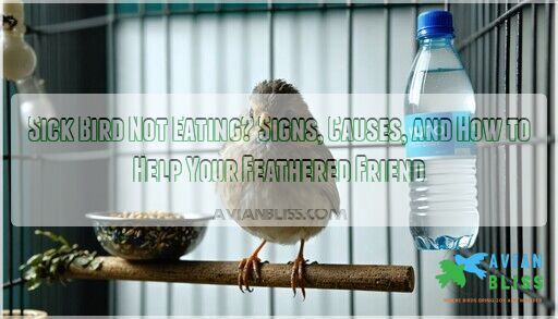 Sick Bird Not Eating? Signs, Causes, and How to Help Your Feathered Friend