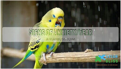 Parakeet Behavior Guide: Know What Your Budgie is Really Telling You