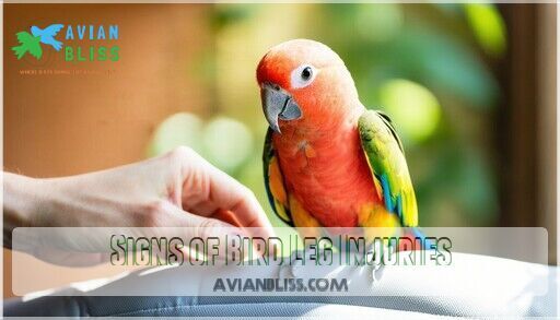 Bird Leg Injury Splint: Emergency Care & Recovery Guide for Pet Birds