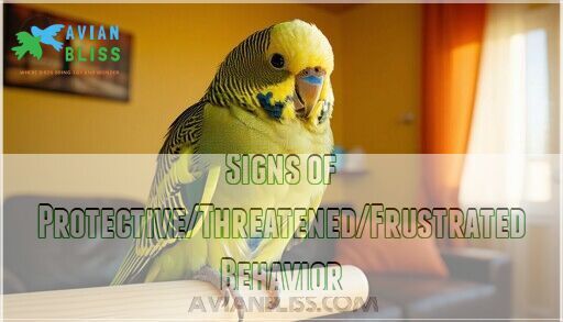 Parakeet Behavior Guide: Know What Your Budgie is Really Telling You