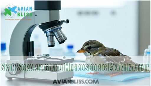 Controlling Feather Mites on Birds: Proven Treatment & Prevention Tips