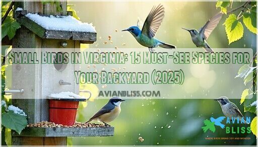 Small Birds in Virginia: 15 Must-See Species for Your Backyard (2025)