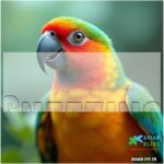 Bird Sneezing Respiratory Problem: Top Causes, Signs & How to Help Your ...