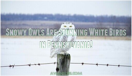Large Birds in Pennsylvania: 12 Amazing Species You'll Want to See!