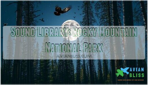 Night Birds in Colorado: Nocturnal Species Revealed