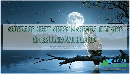 Sounds of Night Birds: 12 Species That Sing After Dark (With Audio)