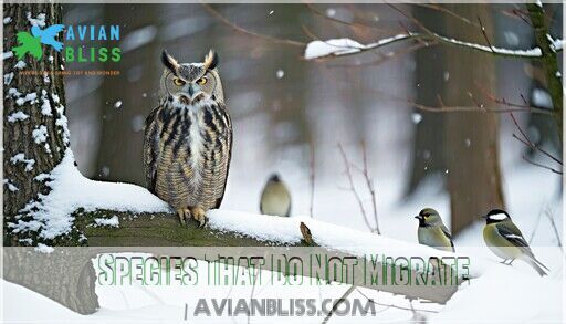 Bird Migration Facts Revealed: 25 Mind-Blowing Secrets You Never Knew