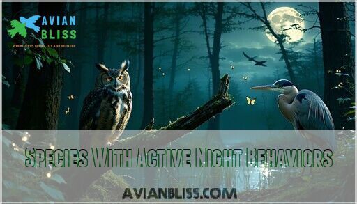 Night Birds in Ohio: 7 Mysterious Species That Hunt After Dark