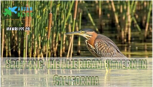 Herons in California: 9 Species Guide With Photos & Habitat Tips
