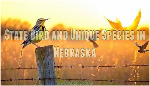 Backyard Birds of Nebraska: 25+ Common Species (With Photos!)