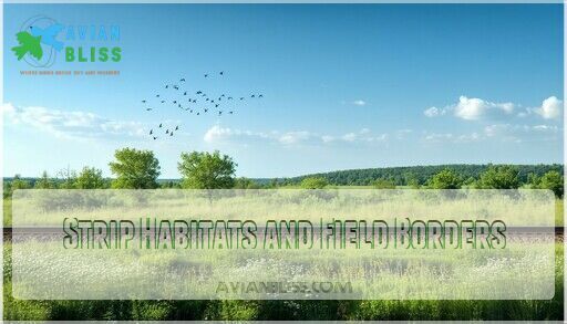 Finding Grassland Bird Habitats: Essential Guide to Conservation