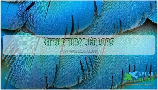 Identify Birds by Feather Patterns: Master Bird ID Like a Pro Expert