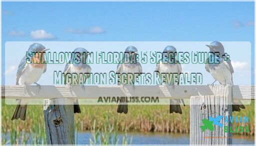 Swallows in Florida: 5 Species Guide + Migration Secrets Revealed