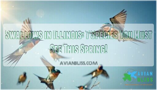 Swallows in Illinois: 7 Species You Must See This Spring!
