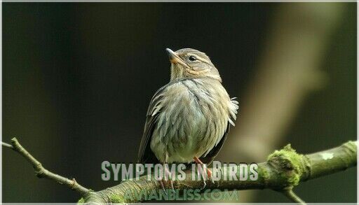 Symptoms Respiratory Illness Wild Birds: Critical Warning Signs You Must