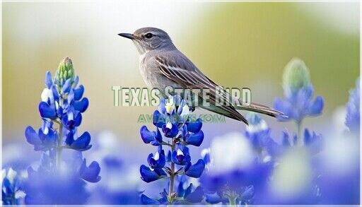 Common Birds in Texas: Complete ID Guide With Photos (2025)