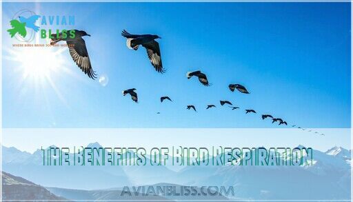 How Does a Bird Get Oxygen? The Amazing Respiratory System Revealed