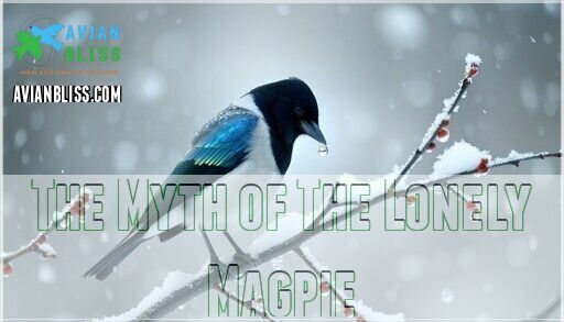 Are Magpies Lucky or Unlucky? The Truth Behind Ancient Superstitions