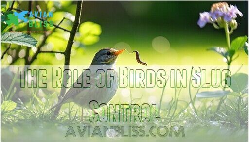 Do Birds Eat Slugs? Which Species Help Control Garden Pests Naturally