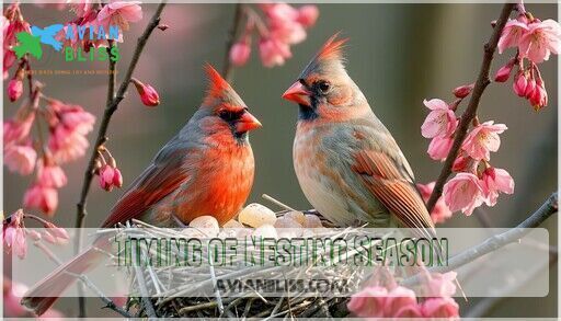 Where Do Cardinals Nest at Night? Surprising Roosting Secrets!