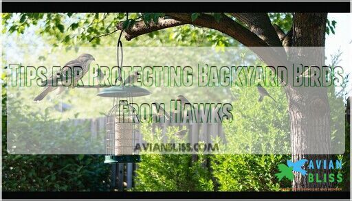 Why is There a Hawk in My Yard? Expert Tips to Protect Birds