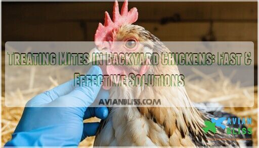 Treating Mites in Backyard Chickens: Fast & Effective Solutions