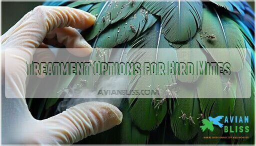 Avian Mite and Lice Control: Expert Guide to Safe Treatment
