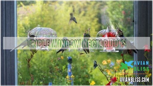 Unique Hummingbird Feeders: 17 Creative Designs That Birds Love