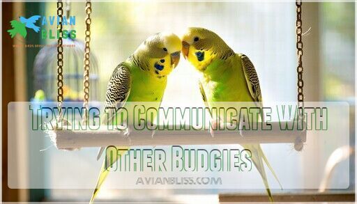 Parakeet Behavior Guide: Know What Your Budgie is Really Telling You