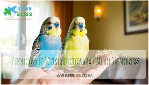Parakeet Behavior Guide: Know What Your Budgie is Really Telling You