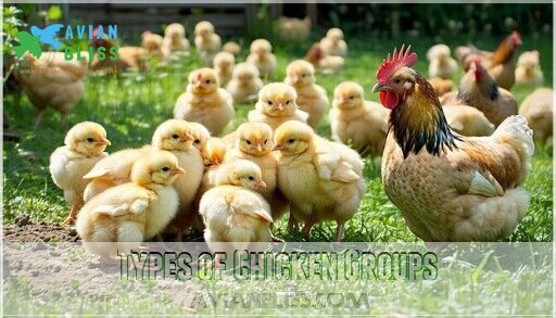What is a Group of Chickens Called? Shocking Farm Facts!