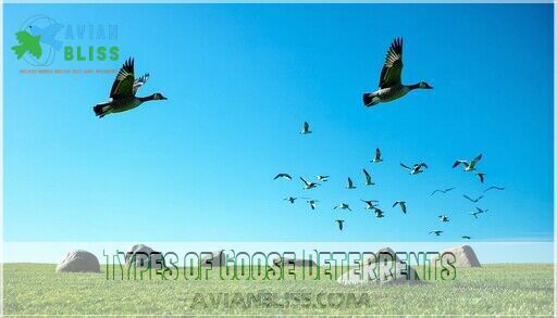 Sounds That Scare Geese: Best Noise Tricks to Keep Geese Off Your Lawn