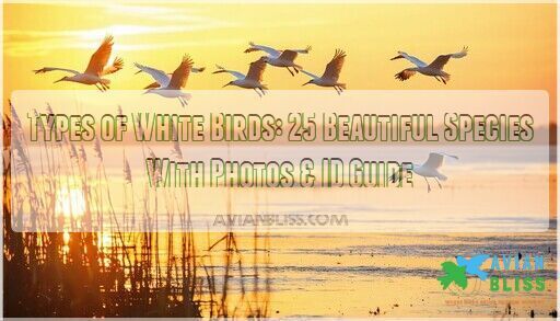 Types of White Birds: 25 Beautiful Species With Photos & ID Guide