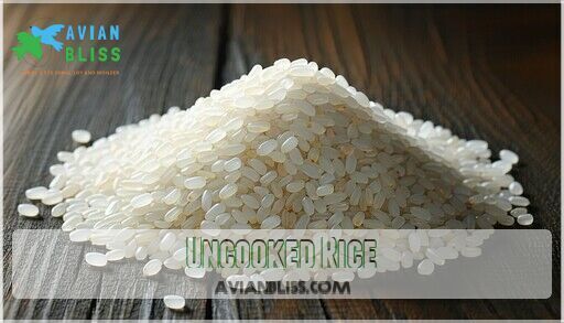 Can Birds Eat Rice? The Surprising Truth Every Bird Owner Needs!